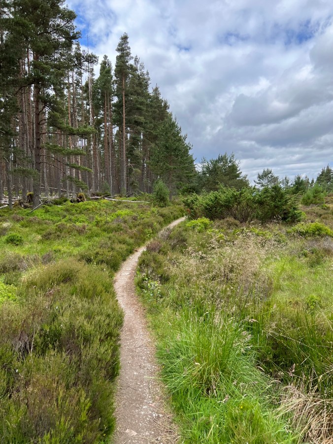 Speyside Way, Grantown-on-Spey to Aviemore | runningforthegate